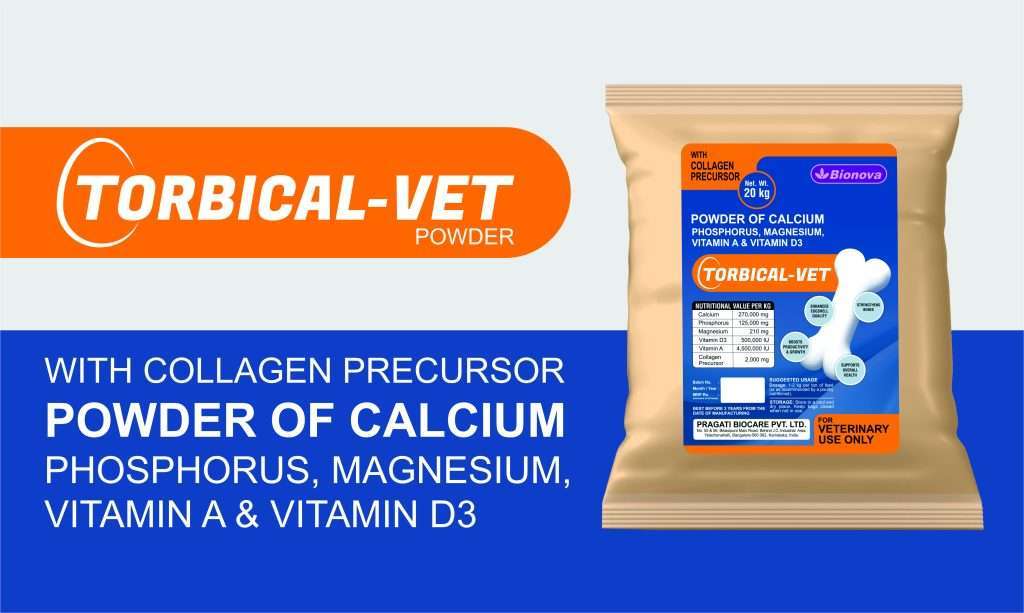 Poultry Calcium Supplement for Egg Shell Quality – TORBICAL VET